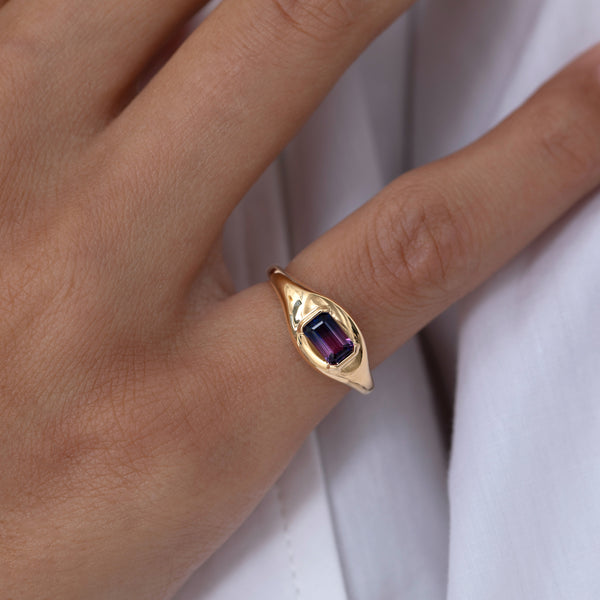 Chameleon Parti Sapphire Signet Pinky Ring – ARTEMER